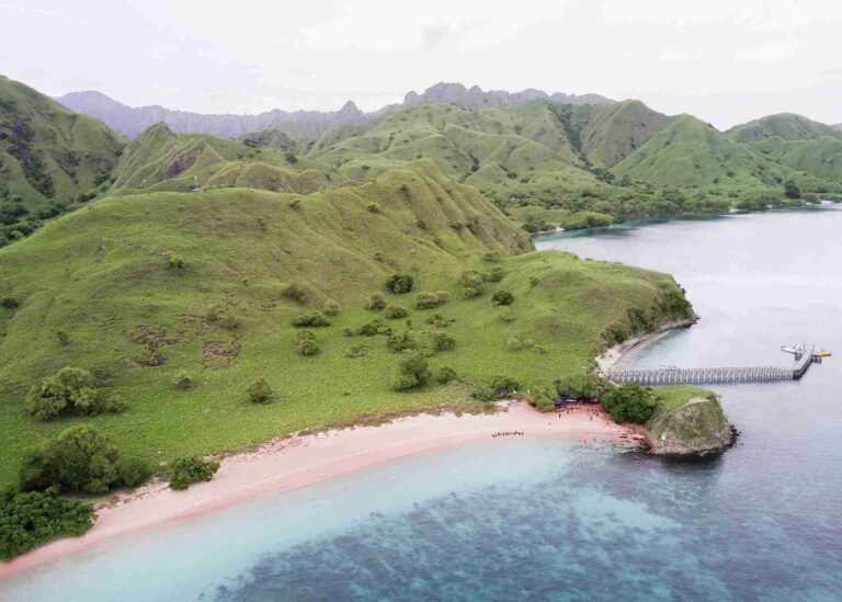 Pink Beach Komodo Island: Rare and Unique Experience in Indonesia ...