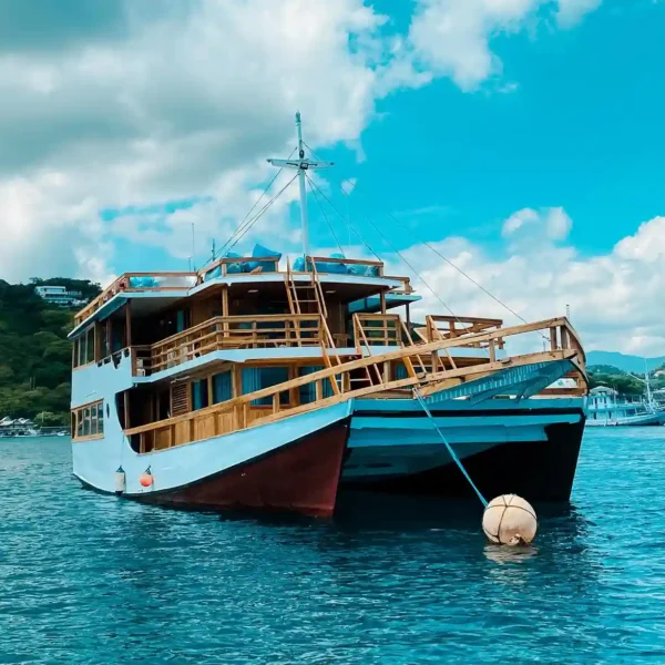 Komodo Island Boat Tour | Raja Ampat Boat Tour July 2024
