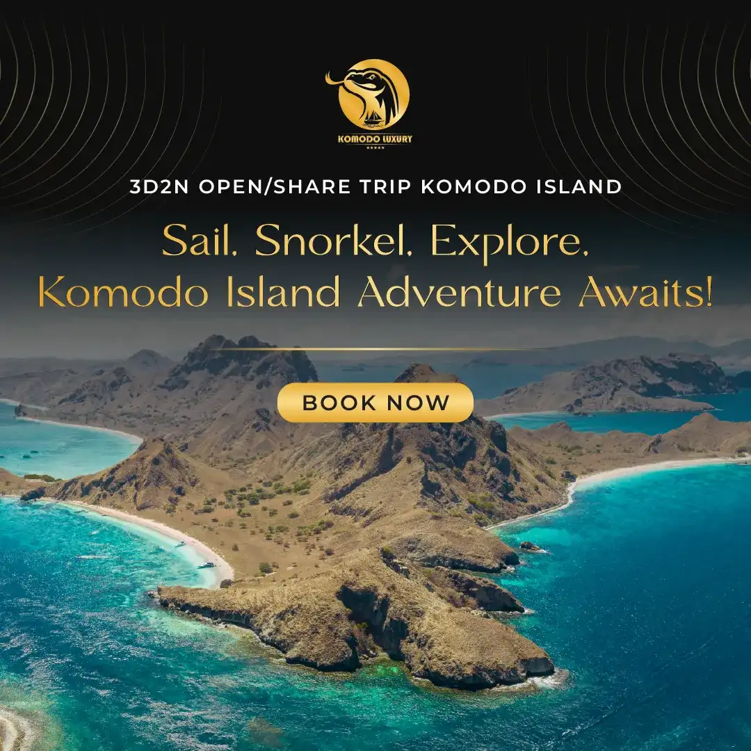 Open Trip Komodo Island - 3D2N Shared Komodo Tours